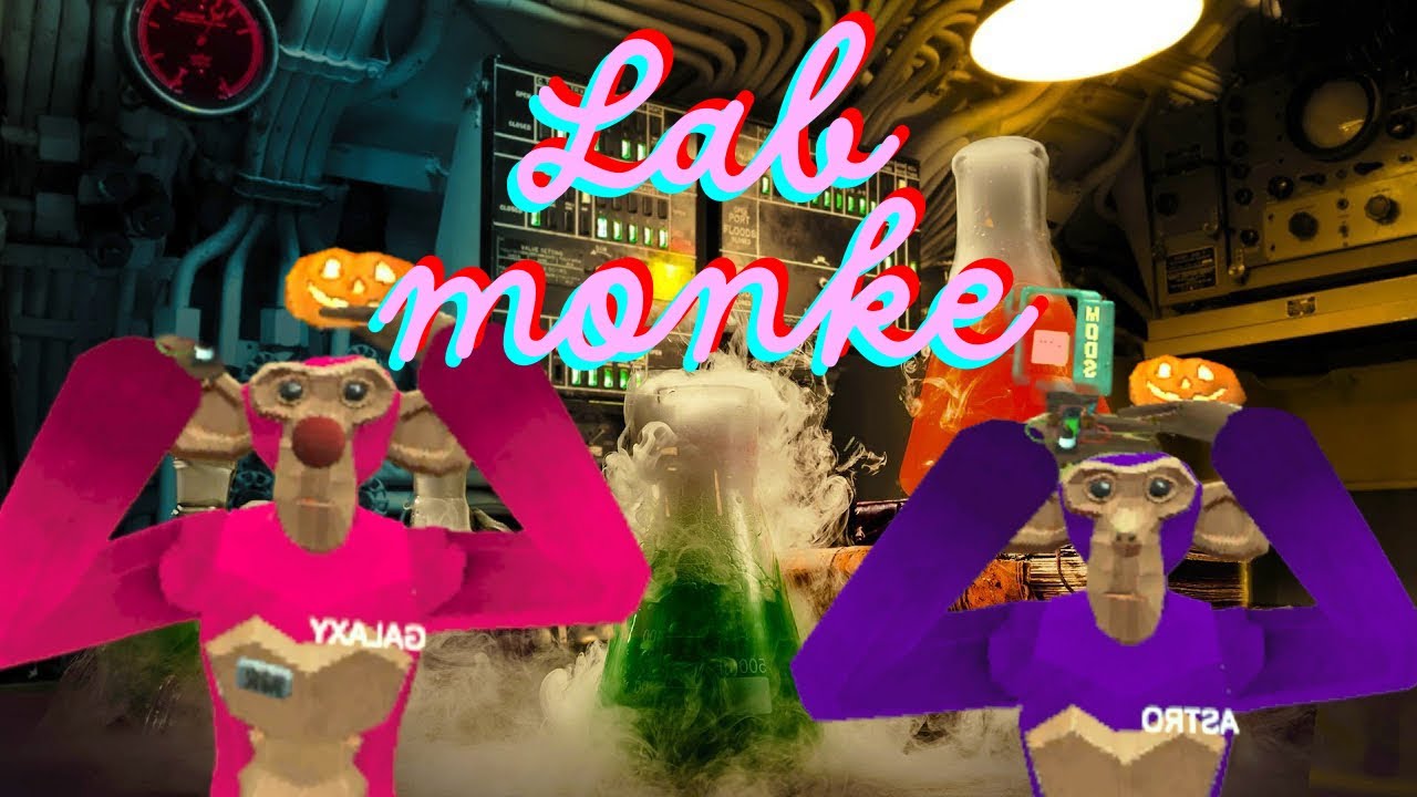 Lab monkey video!! :D - YouTube