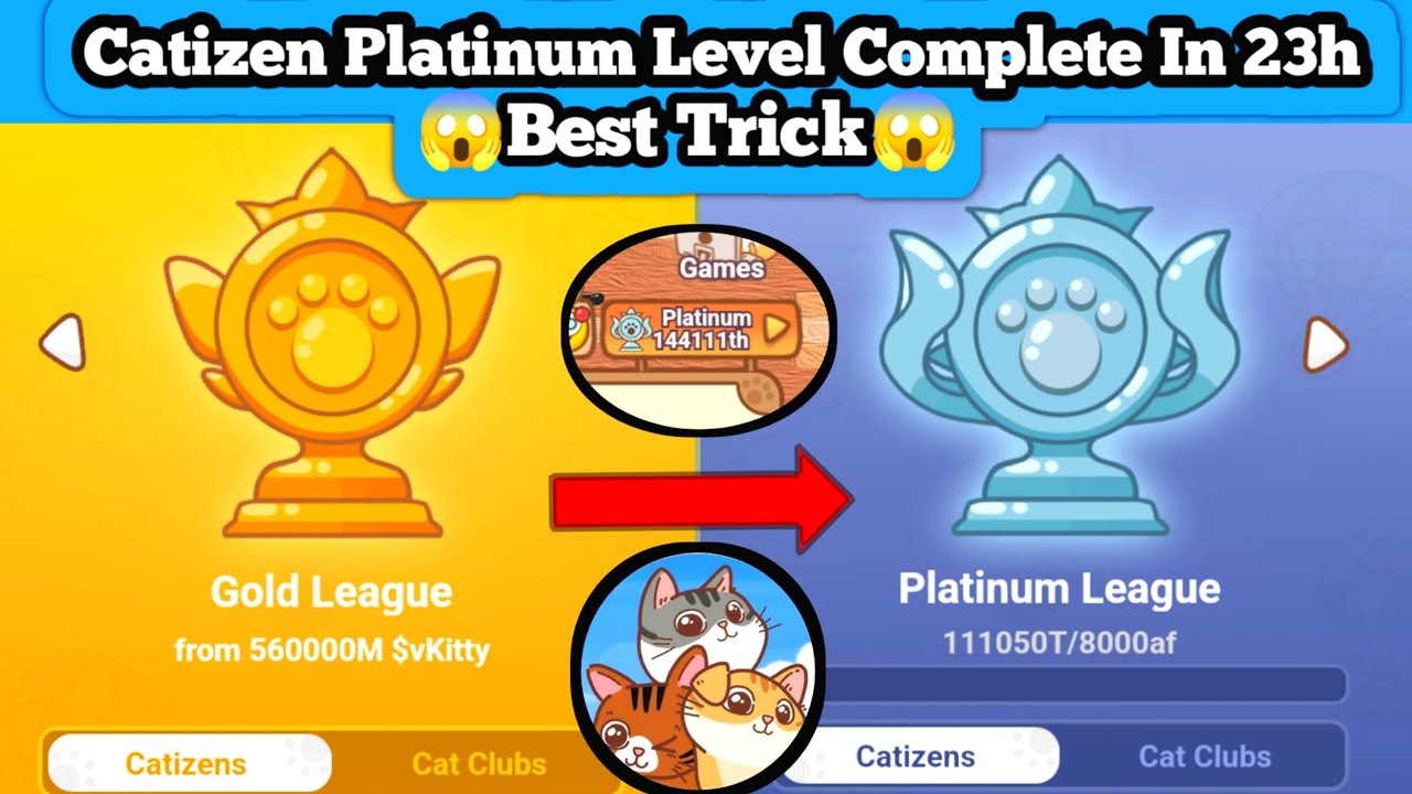 Catizen Platinum Level Complete Best Trick | How To Complete Platinum ...