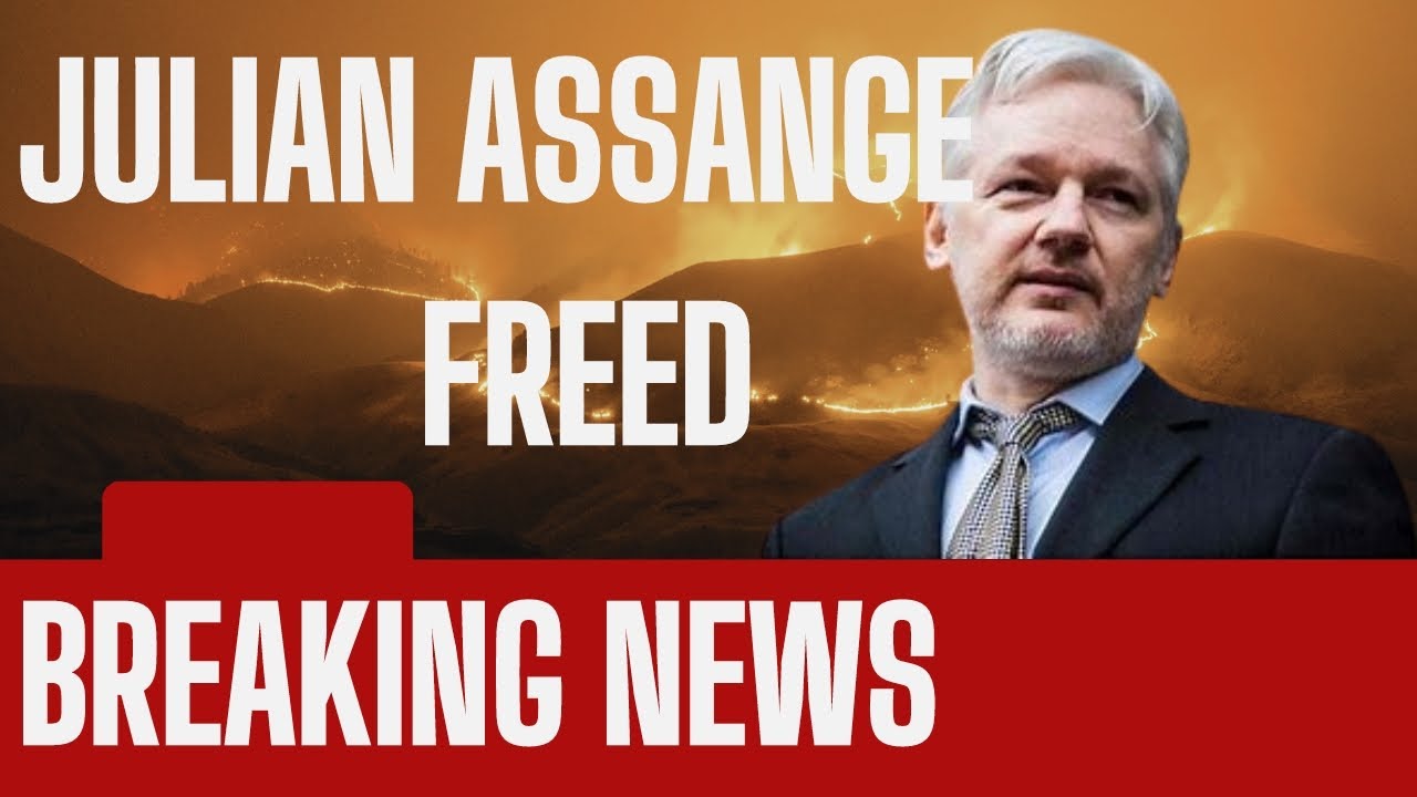 Julian Assange Freed: Historic Deal with US | Next Gen News - YouTube