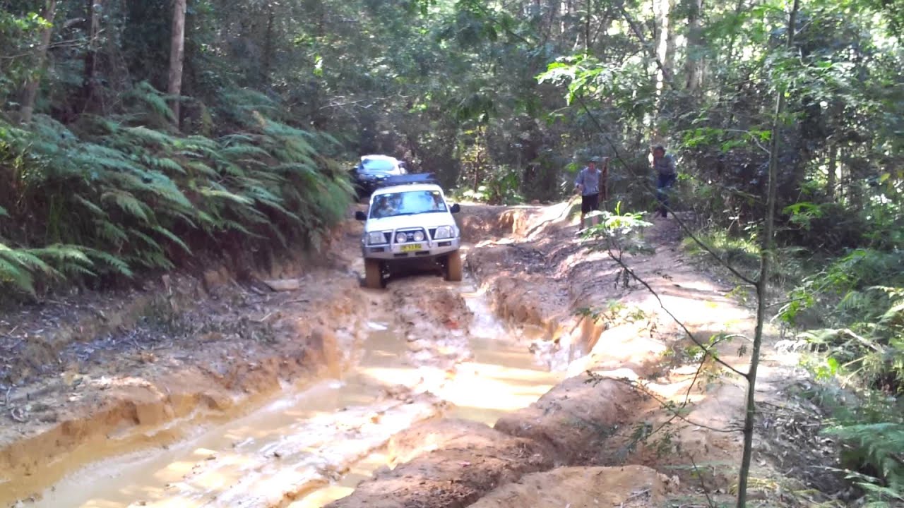 Ourimbah state forest - YouTube