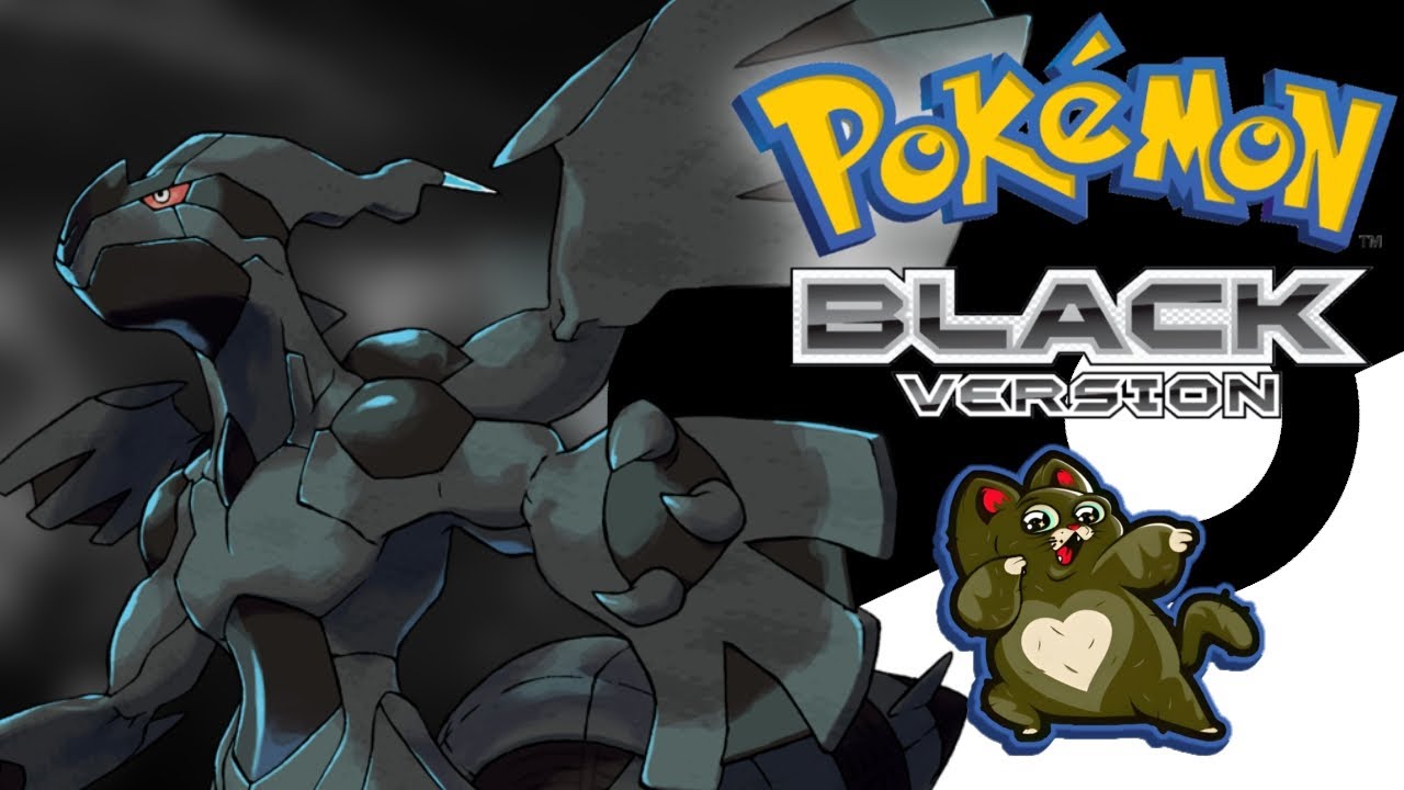 ya volvemos con todo y mas - YouTube