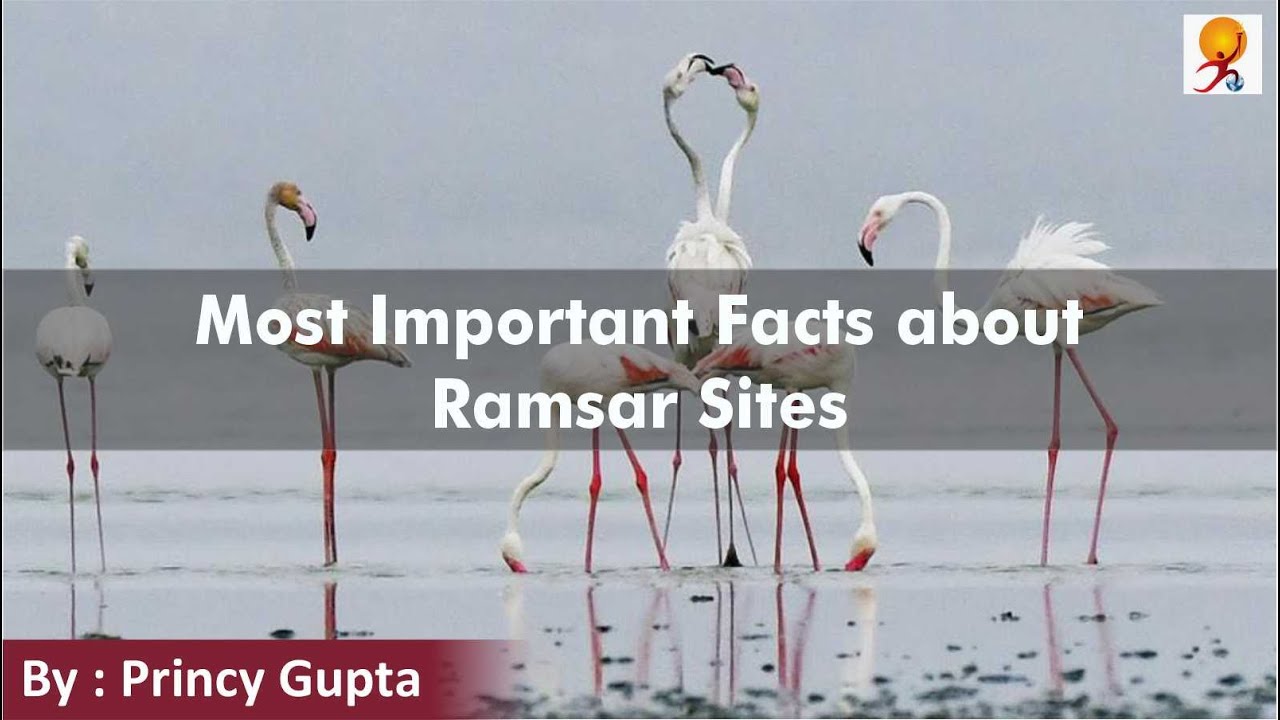 Most Important Facts about Ramsar Sites | Ramsar Sites - YouTube