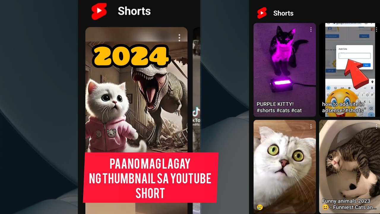 PAAANO MAG LAGAY NG MAGANDA PICTURE SA YOU TUBE SHORT OR THUMBNAIL 2024 ...