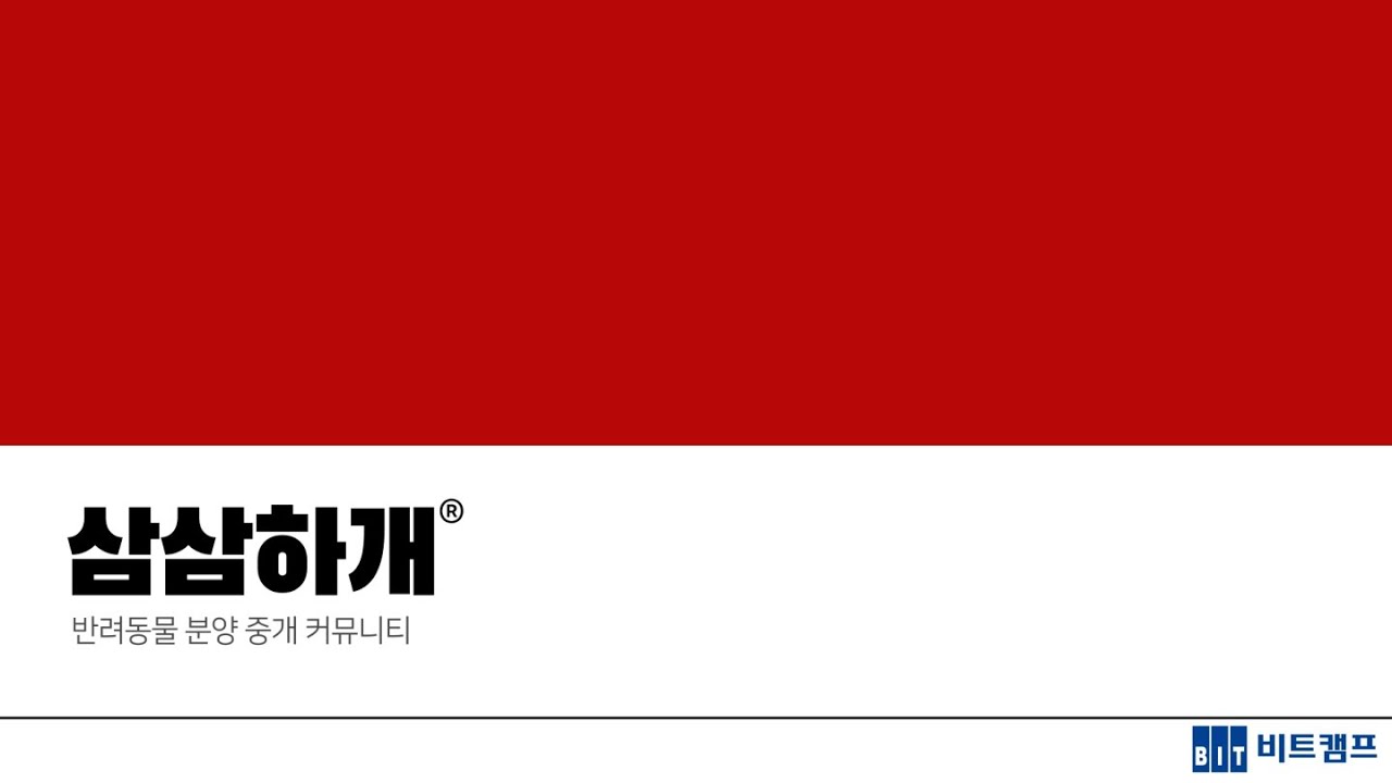 비트캠프 자바179기 디지털컨버전스 기반 Framework 전문 개발자 양성과정 3조 삼삼하개 Youtube