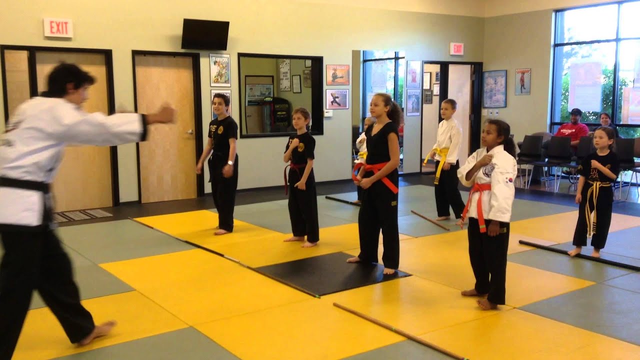 Starworld Martial Arts Black Belt Joshua Fookes Leading the New 2014 ...