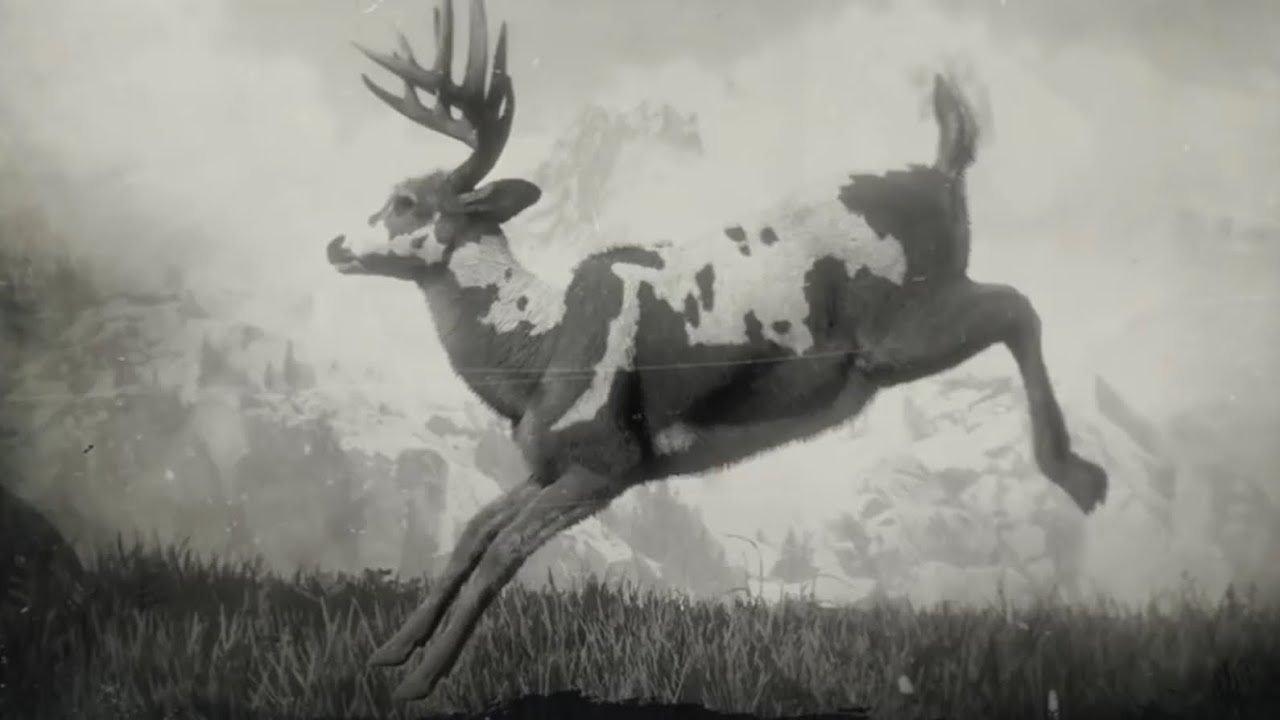Hunting the legendary buck rdr2 - YouTube