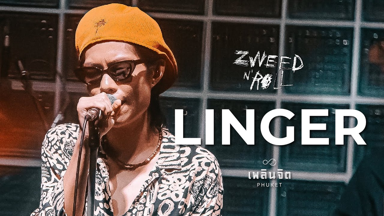 Linger「 Cover by x Zweed n' Roll LIVE @เพลินจิต x Phuket 」 - YouTube