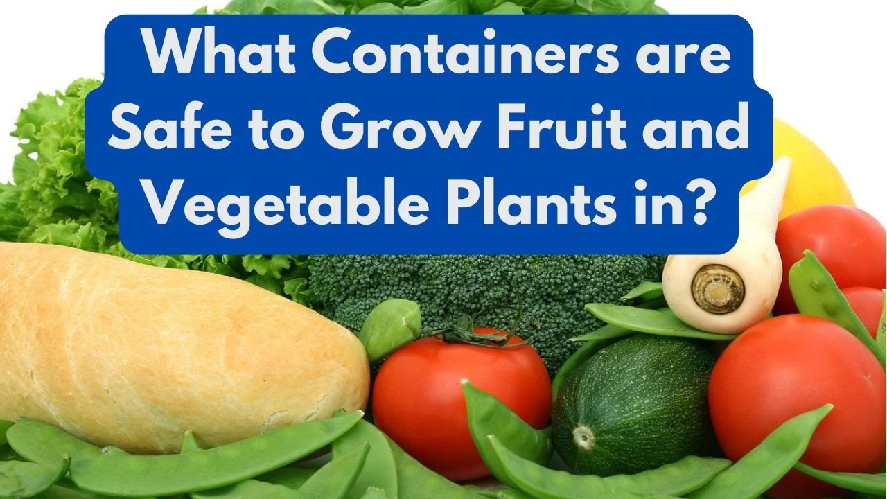 What Containers are Safe to Grow Fruit and Vegetable Plants in? - YouTube