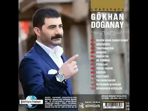 GÖKHAN DOĞANAY GÖRÜŞÜRÜZ FULL ALBÜM 2016
