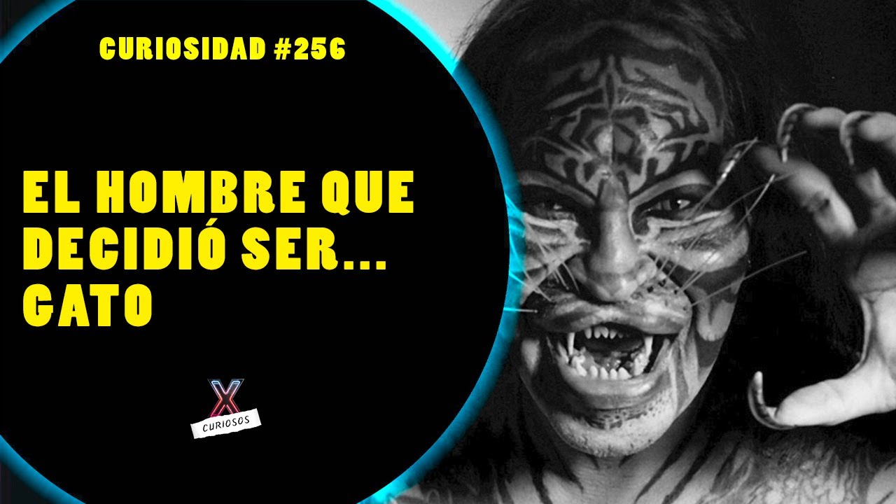 DENNIS AVNER: EL HOMBRE GATO DE LA VIDA REAL - YouTube