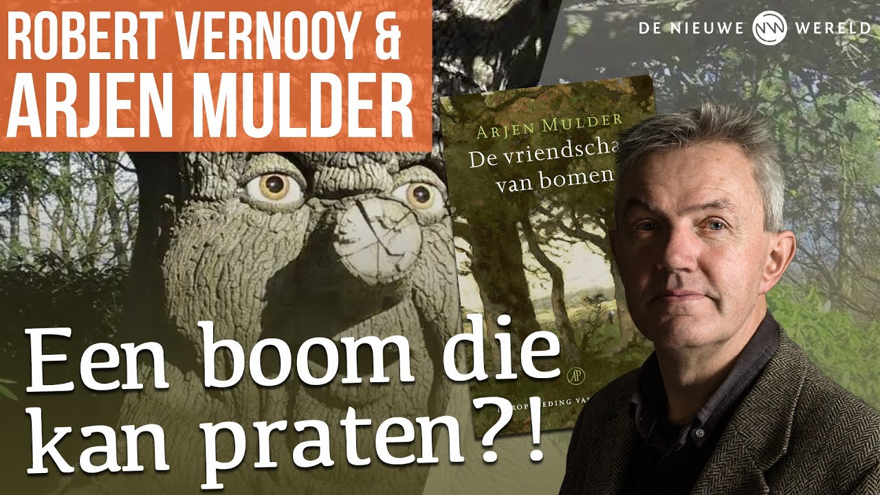 "Sommige van mijn beste vrienden zijn bomen" | #1987 Arjen Mulder - YouTube