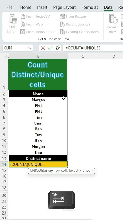 How to Count Unique Names in a Column in Excel - YouTube