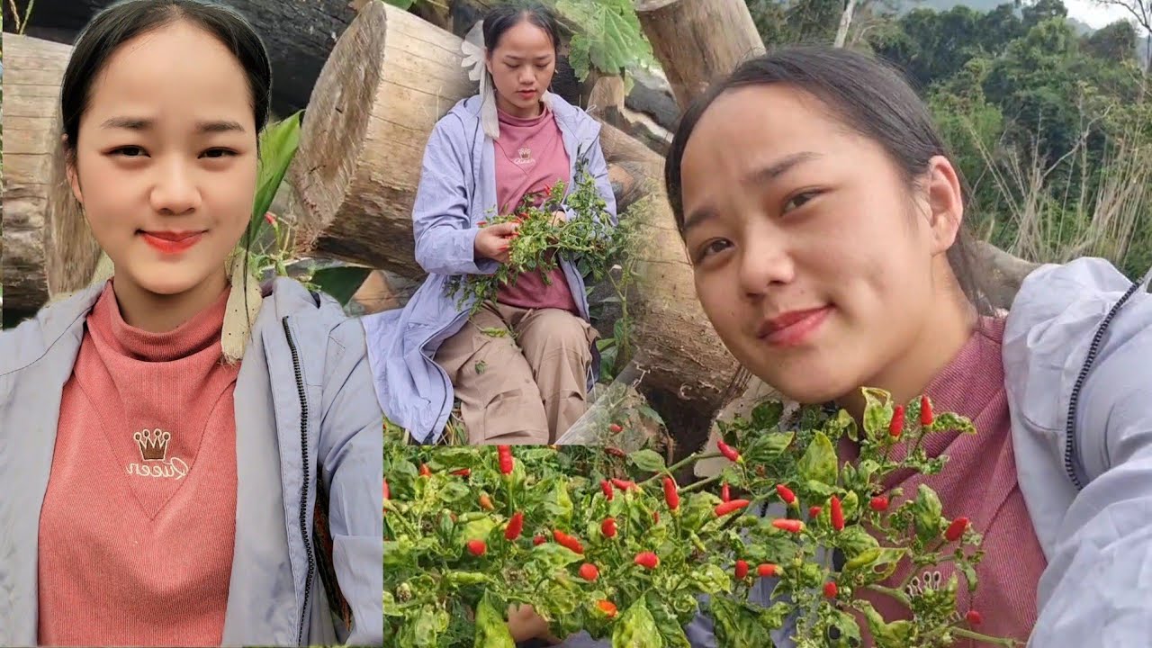 yuav txog 30 lawm kho siab tiag2 li os cov me phooj ywg saws dawv aw - YouTube