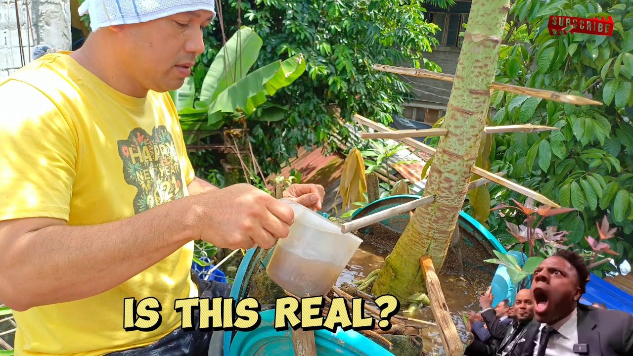 Is this real? - YouTube