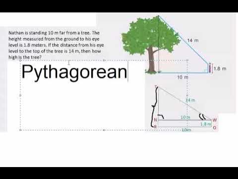Geometry Help: Pythagorean's Theorem and How to solve it - The height of the tree - YouTube