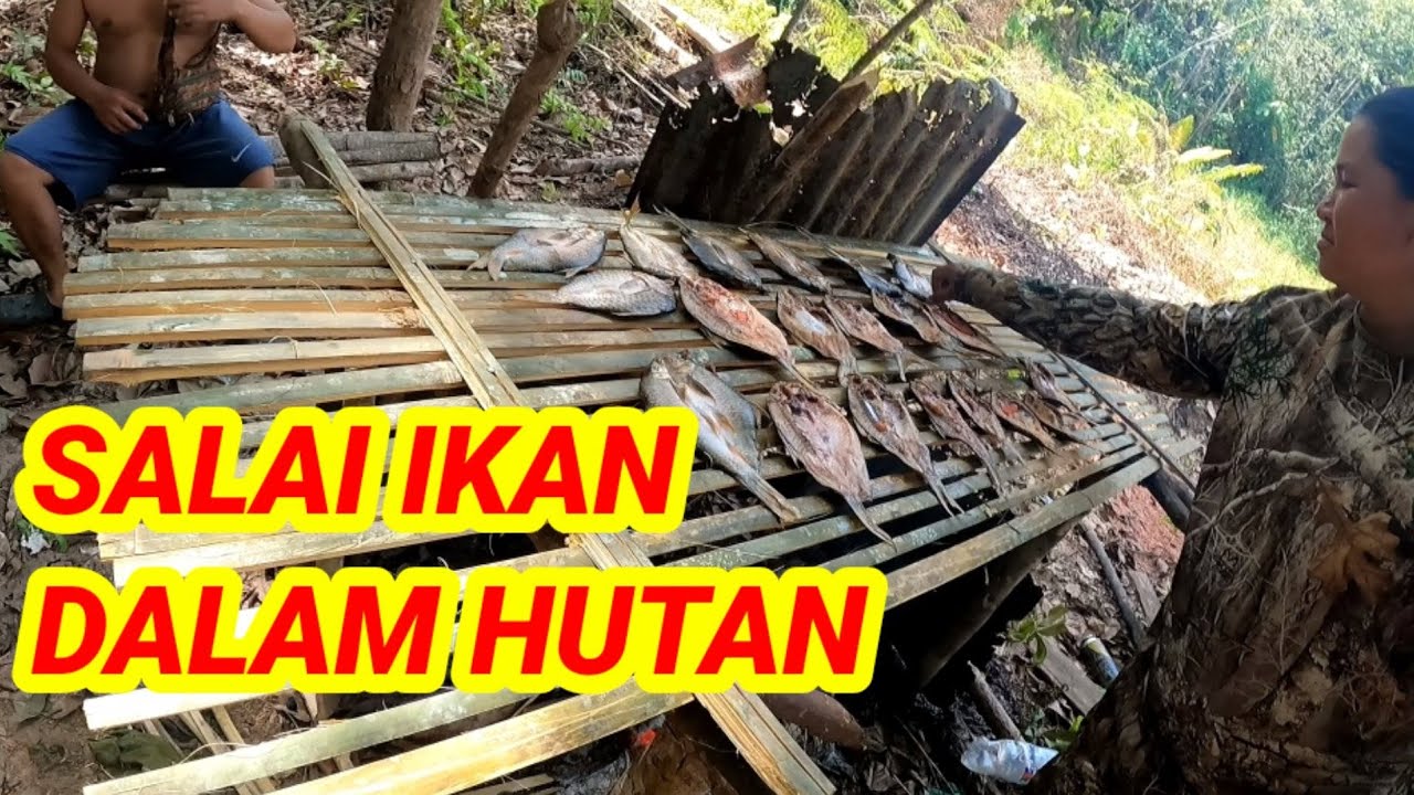 MENJALA IKAN DIULU SUNGAI BERBATUAN.IKAN SARAWI IKAN PALIAN - YouTube