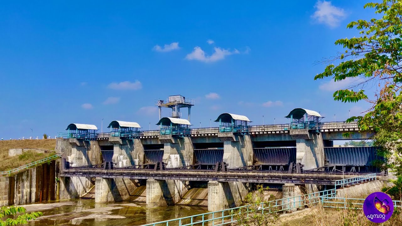 Yagachi Dam, Belur | യാഗാച്ചി ഡാം, ബേലൂർ - YouTube