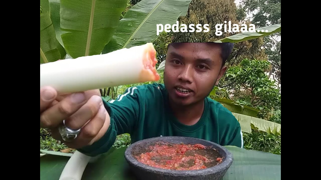 Mukbang pohon virall..!! Rujak pohon pisang mentah+sambal setan pedas ...