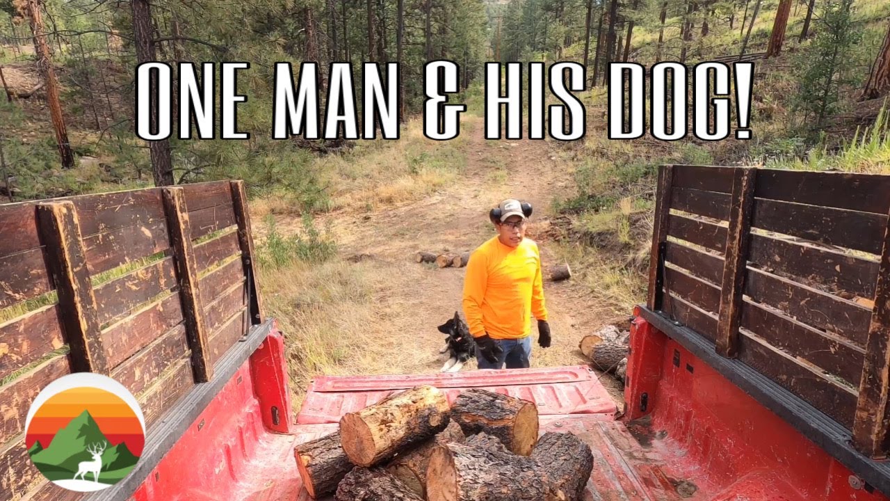 Mountain Firewood Logging In NEW MEXICO! - YouTube