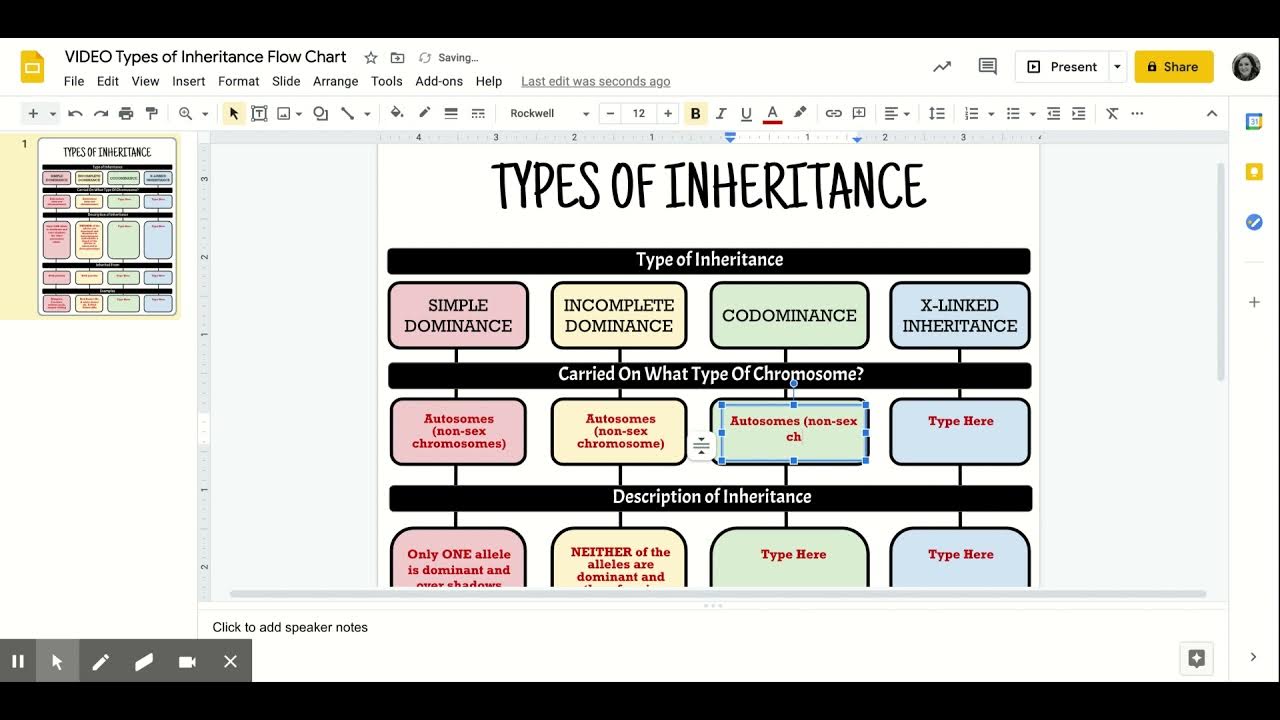 Types Of Inheritance Flow Chart - Youtube