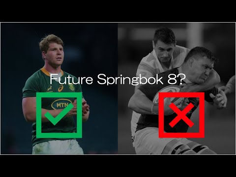 Evan Roos vs Jasper Wiese! Who will be Springbok 8th man after Duane ...