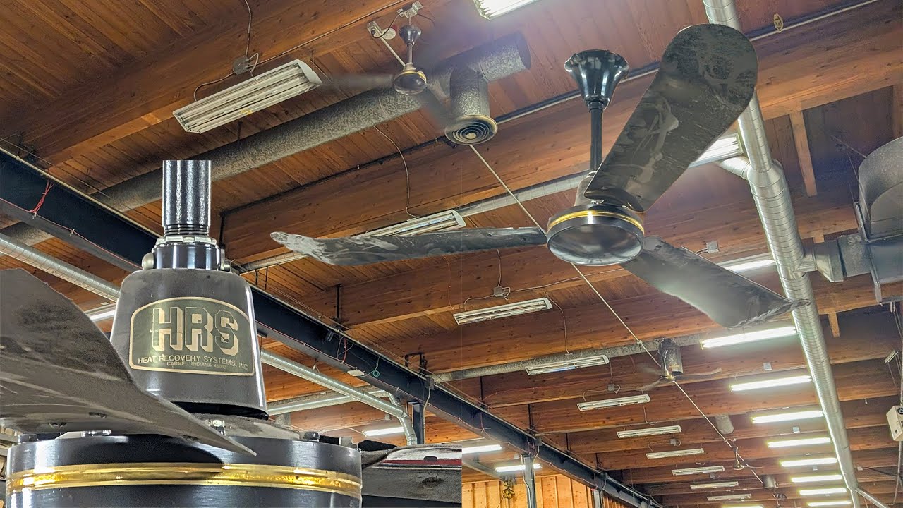 56" HRS (Carroway) Industrial Ceiling Fans in a Storage Warehouse - YouTube