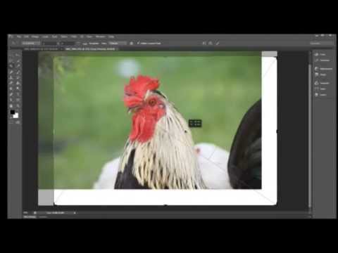 PHOTOSHOP CS6 YENIDEN KADRAJLAMA Photoshop Dersleri