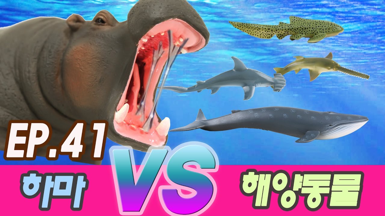 [Ko] #41 Hungry hippo doesn't like Sea animals (kids education ...