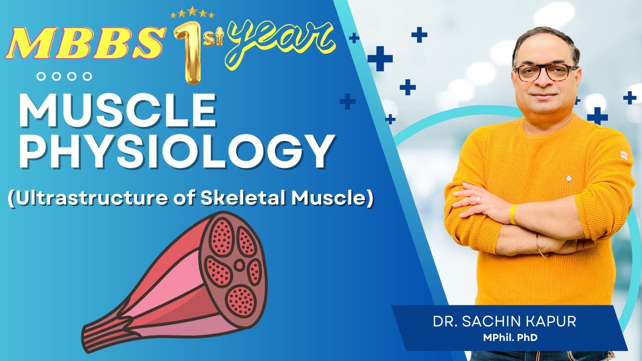 MBBS First Year | Muscle Physiology | Ultrastructure of Skeletal Muscle ...