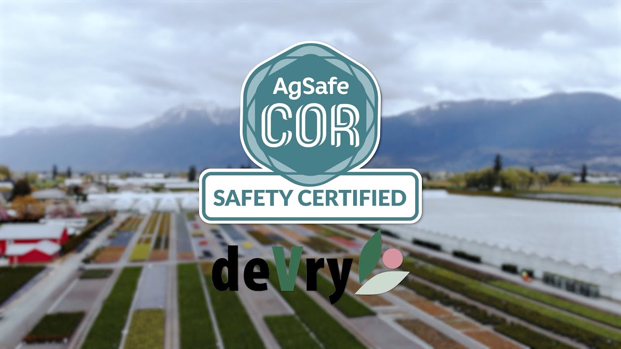 COR TESTIMONIAL | DeVry Greenhouses - YouTube