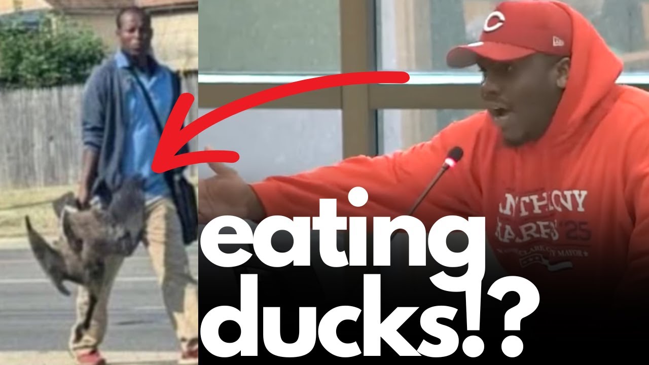Migrants EATING Cats & Ducks in Springfield Ohio - YouTube