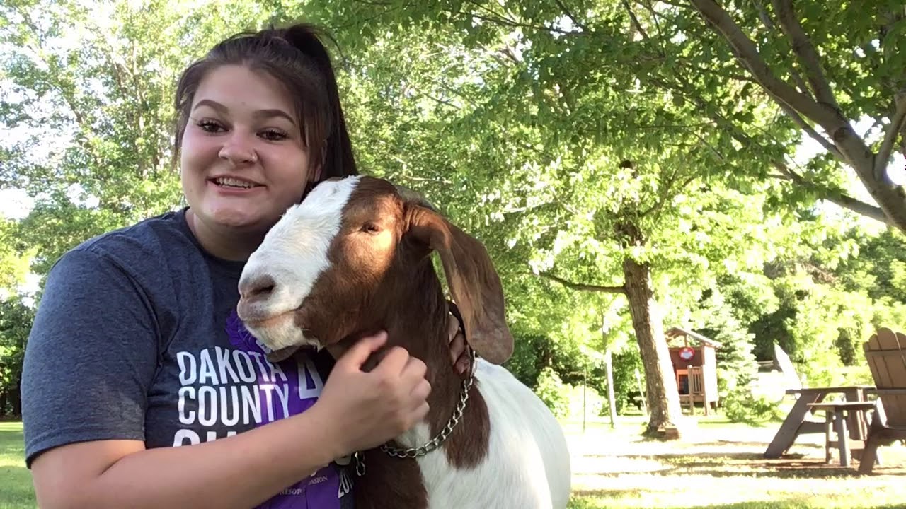 Livestock Demonstration on showing goats and an in depth look at ...