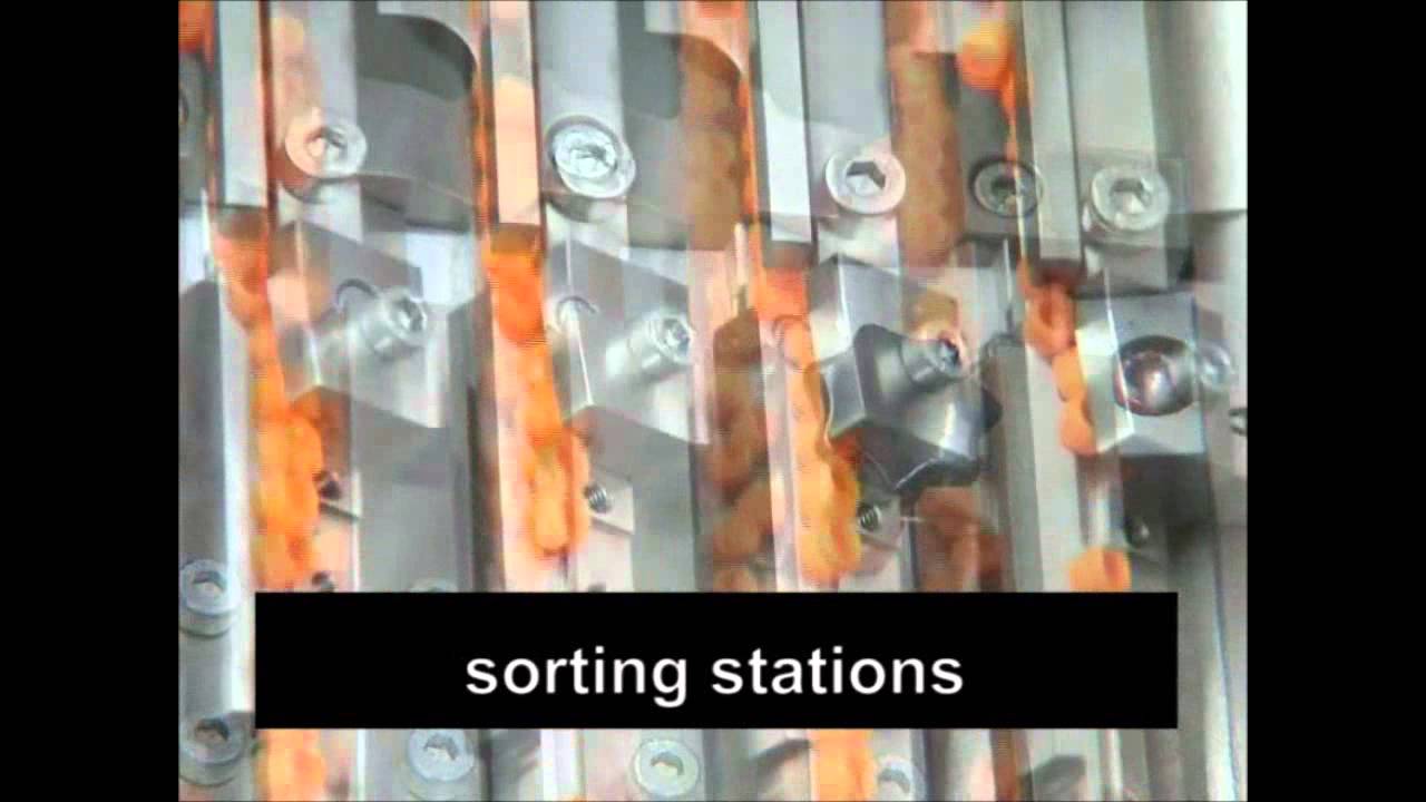 RNA Ultra High Speed Orienting System - ZE System - YouTube