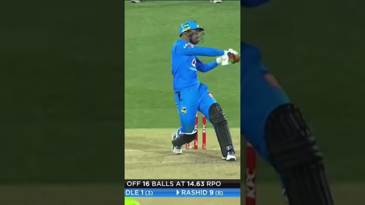 Best 2019 IPL SHORTS BY RASHID - YouTube