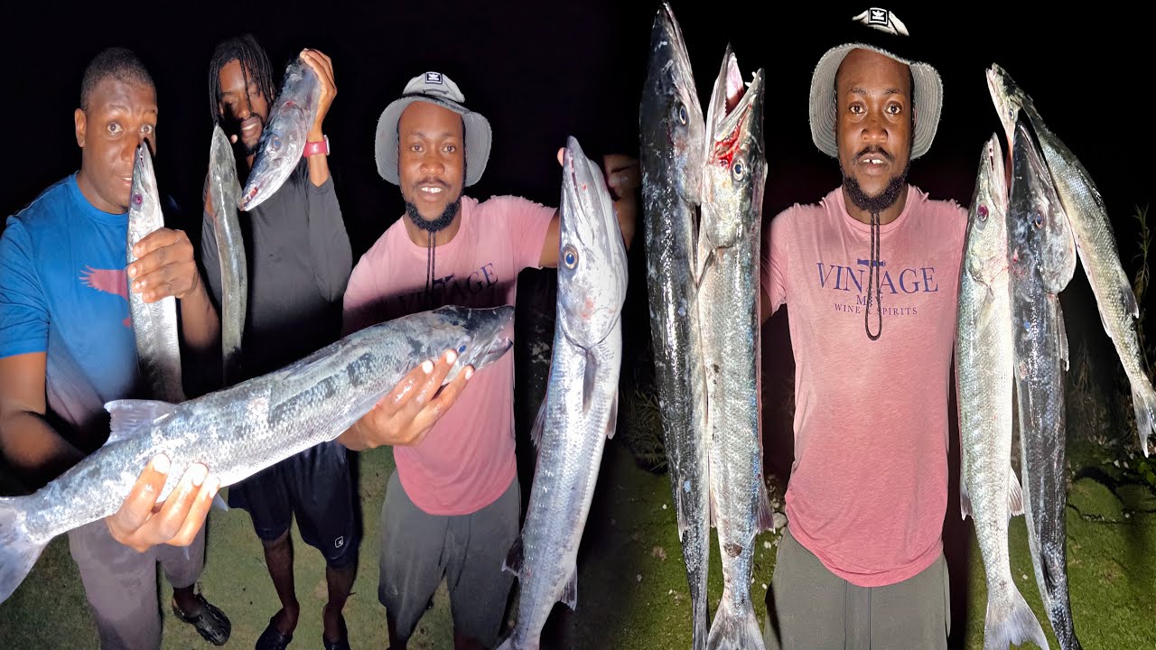 Wild BARRACUDA Frenzy! Non Stop Hookups 🎣🔥 - YouTube