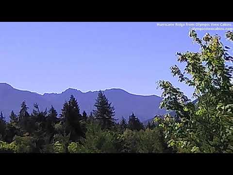 2020-09-06 Olympic View Cabins Hurricane Ridge Cam - YouTube