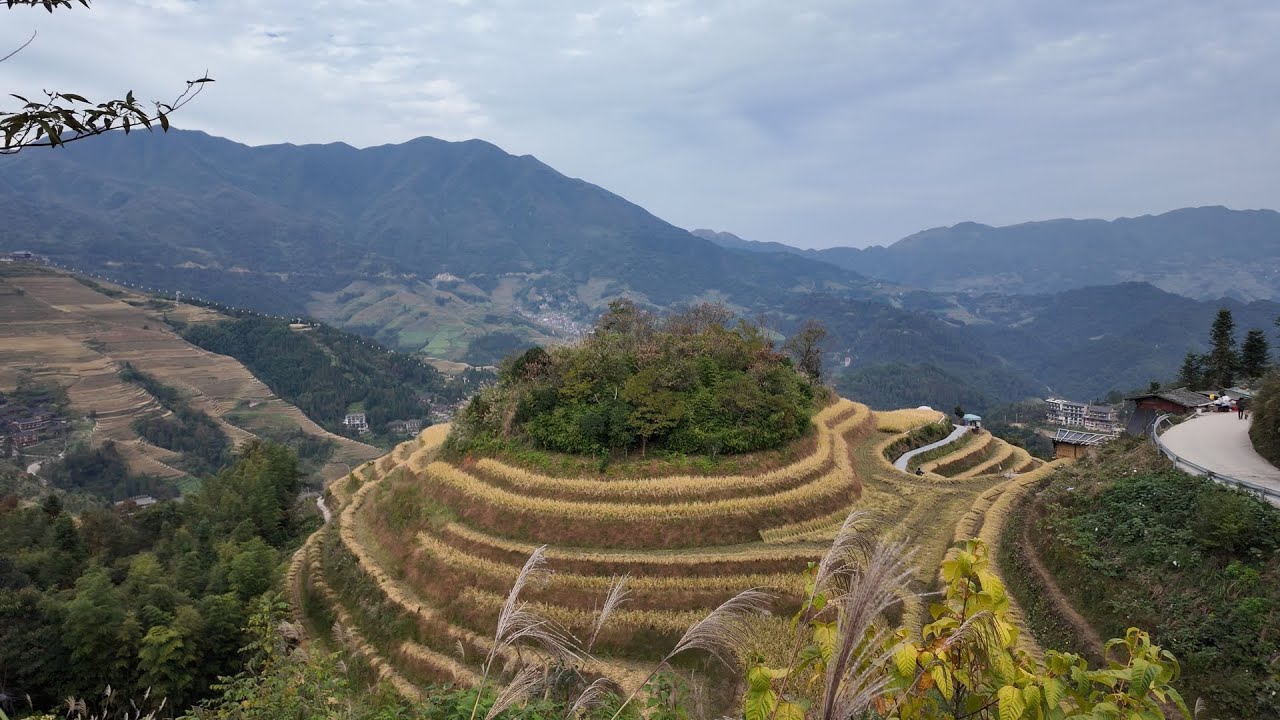 CHINA GUILIN LONGJI RICE FIELD TERRACE 2 - YouTube