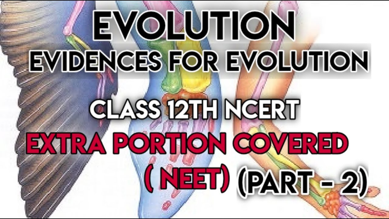 Evolution Evidence Video Biology Ck12 Foundation Bird Evolution ( Video ...
