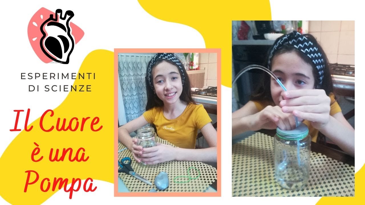 Il cuore è una pompa - Esperimento di Scienze - YouTube