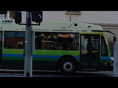 2020 LADOT Dash Proterra Catalyst BE35 20307 #bus - YouTube