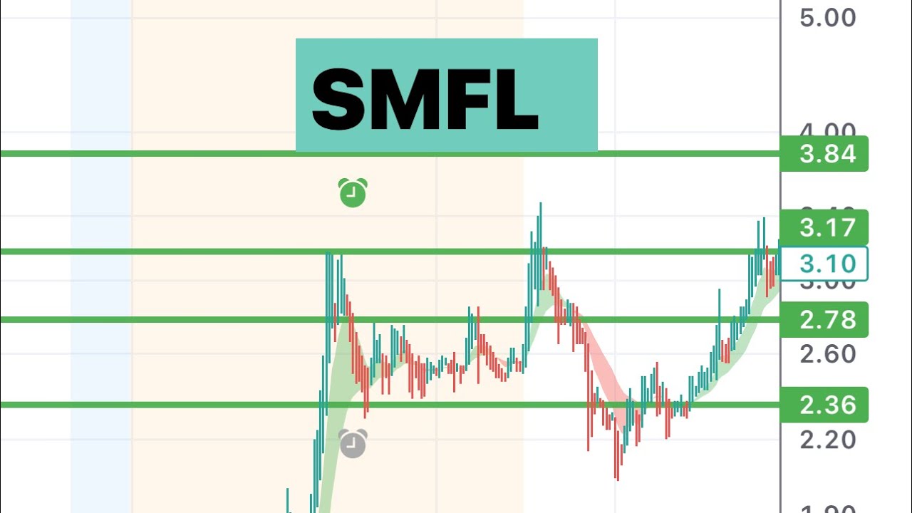#SMFL 🔥 low float hot stock! $smfl - YouTube