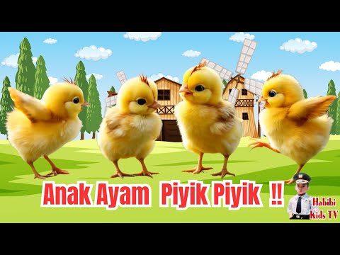 Lagu Anak populer❗ LAGU ANAK AYAM PIYIK PIYIK❗ LAGU MAZAYA❗  Lirik Lagu Anak Indonesia❗