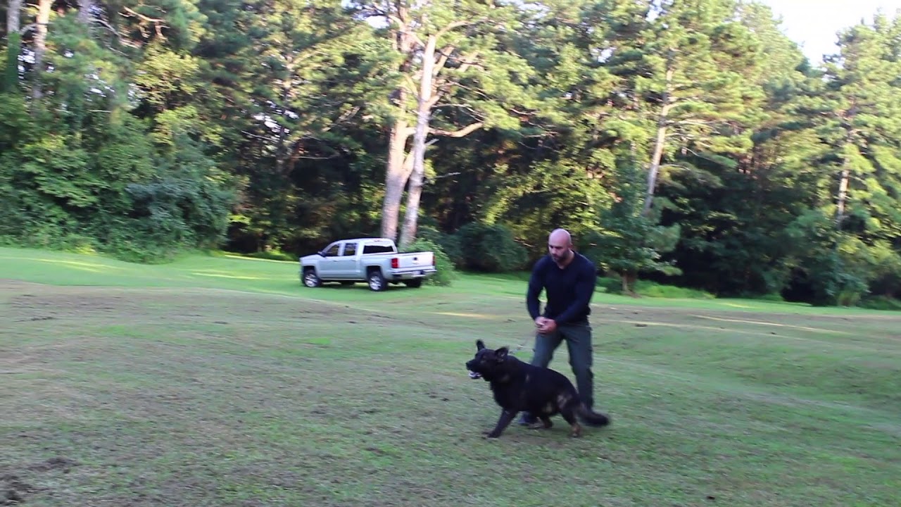 XARON PROTECTION VIDEO - YouTube