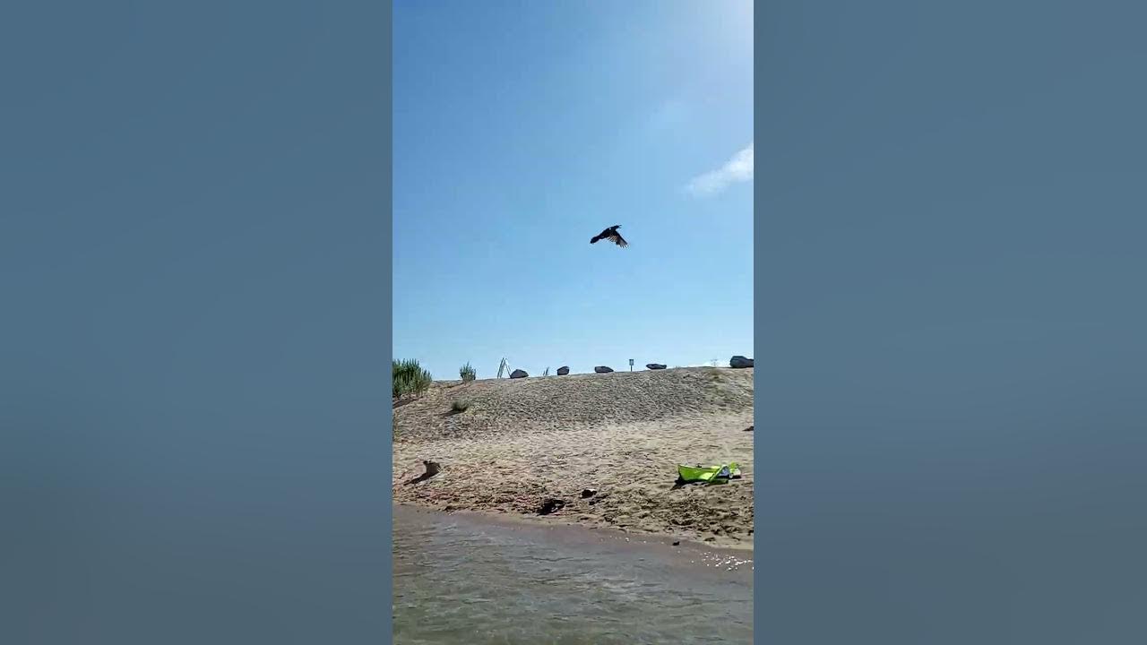 Out here Colorado river 123 degrees hbu - YouTube