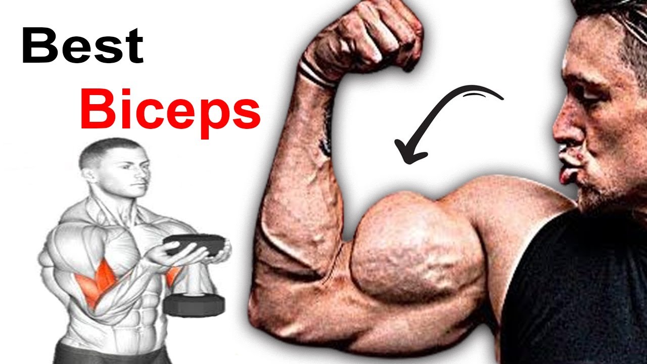 5 Best Biceps Exercises To Get Bigger Biceps - YouTube