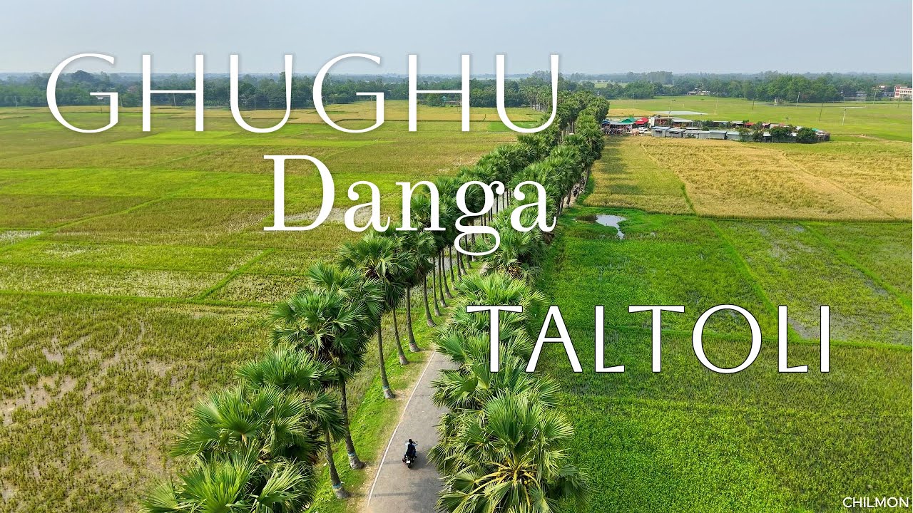 ঘুঘু ডাঙ্গা - বাংলাদেশের দীর্ঘতম তাল গাছের সড়ক | Ghughu danga_Largest ...
