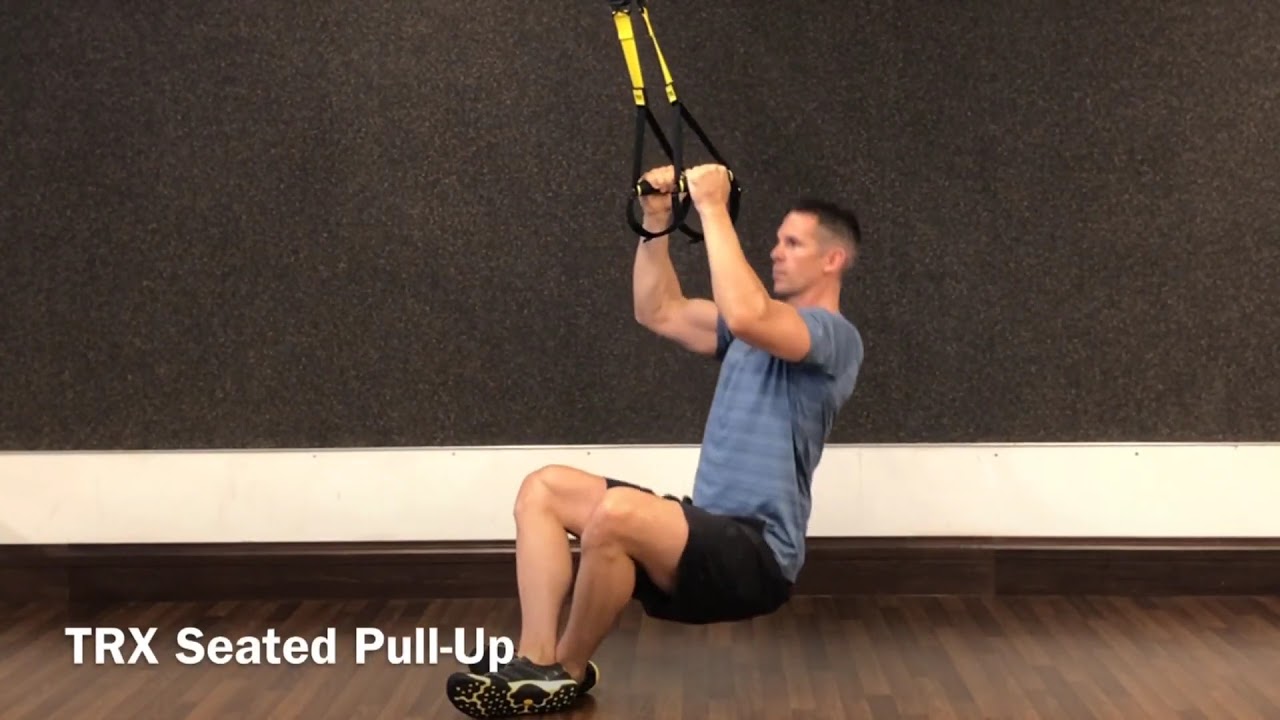 TRX Seated Pull Up - YouTube