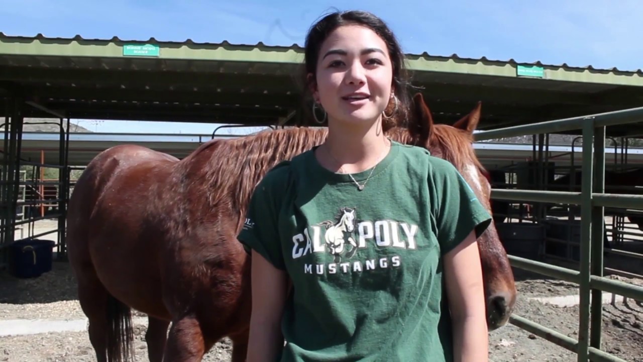 Cal Poly Rodeo - Poly Royal 2018 - YouTube