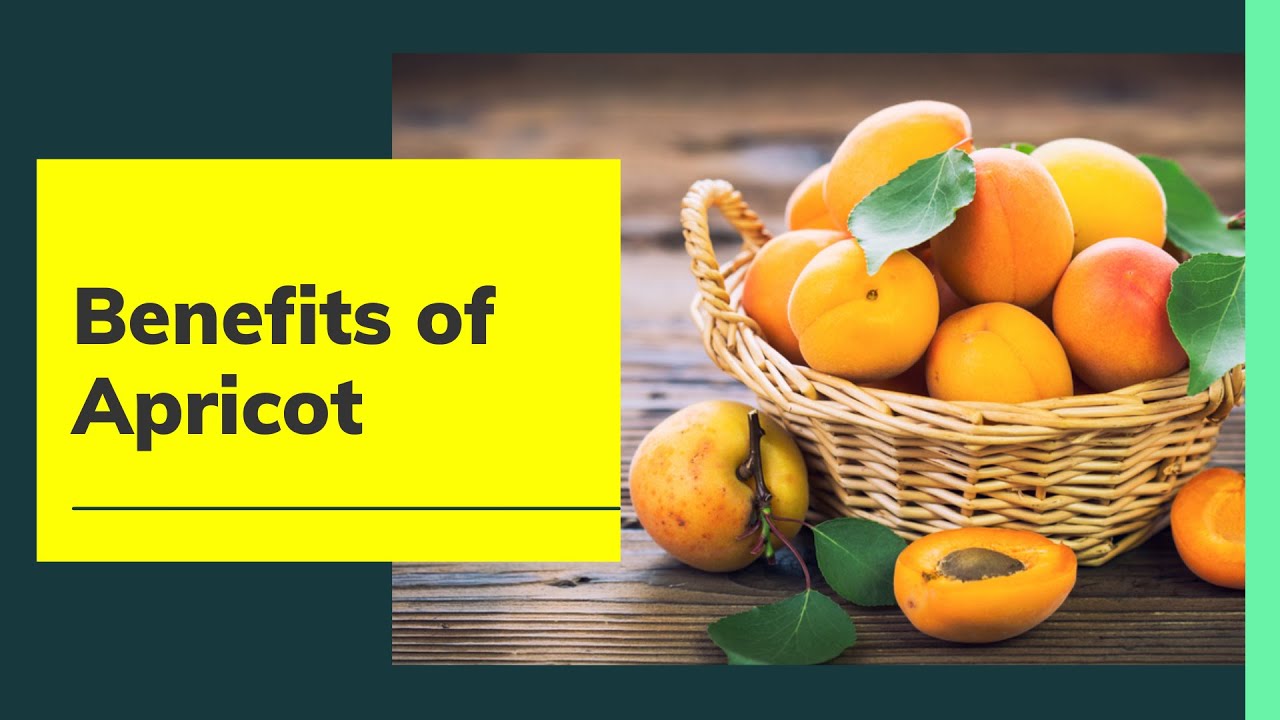 Benefits of Apricots | Apricots Nutrition Facts - YouTube