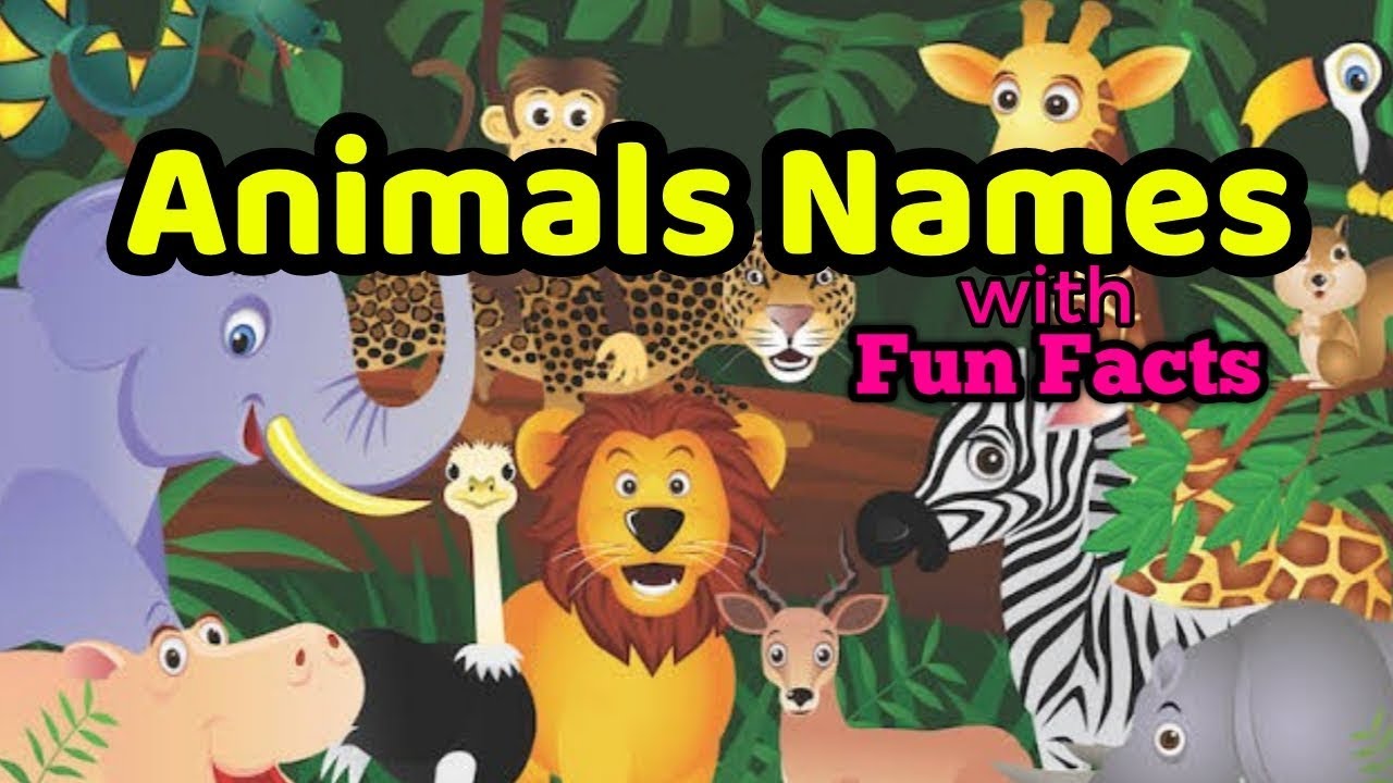 Learn A-z animals names | amazing animals fun facts - YouTube